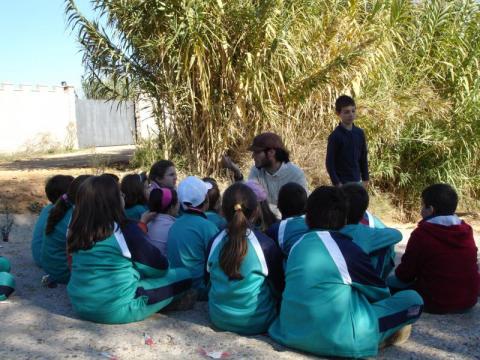 En busca del río perdido | El Enjambre Sin Reina